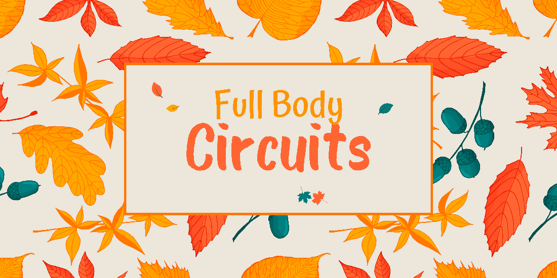 Full Body Circuits
